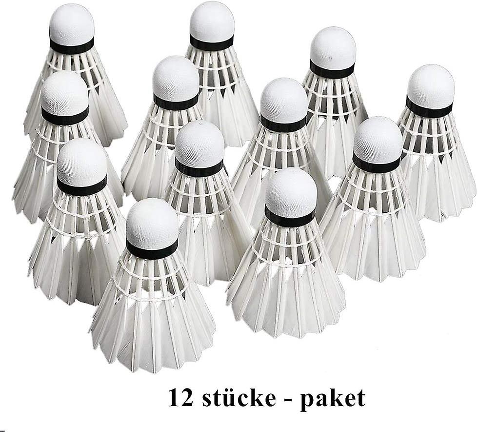 Shuttlecocks – NZBC
